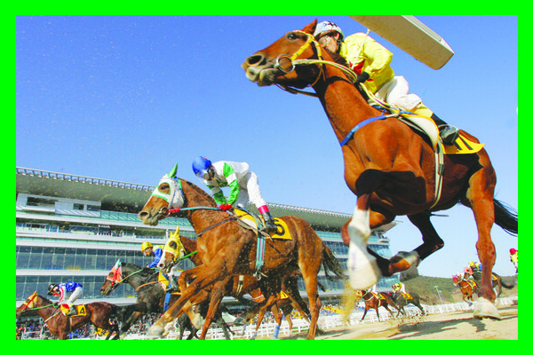 12월 19일 유준상의 추천마