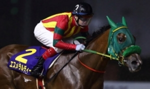 ‘KRA’ vs ‘JRA’ 경주마 “한판 승부 열린다”